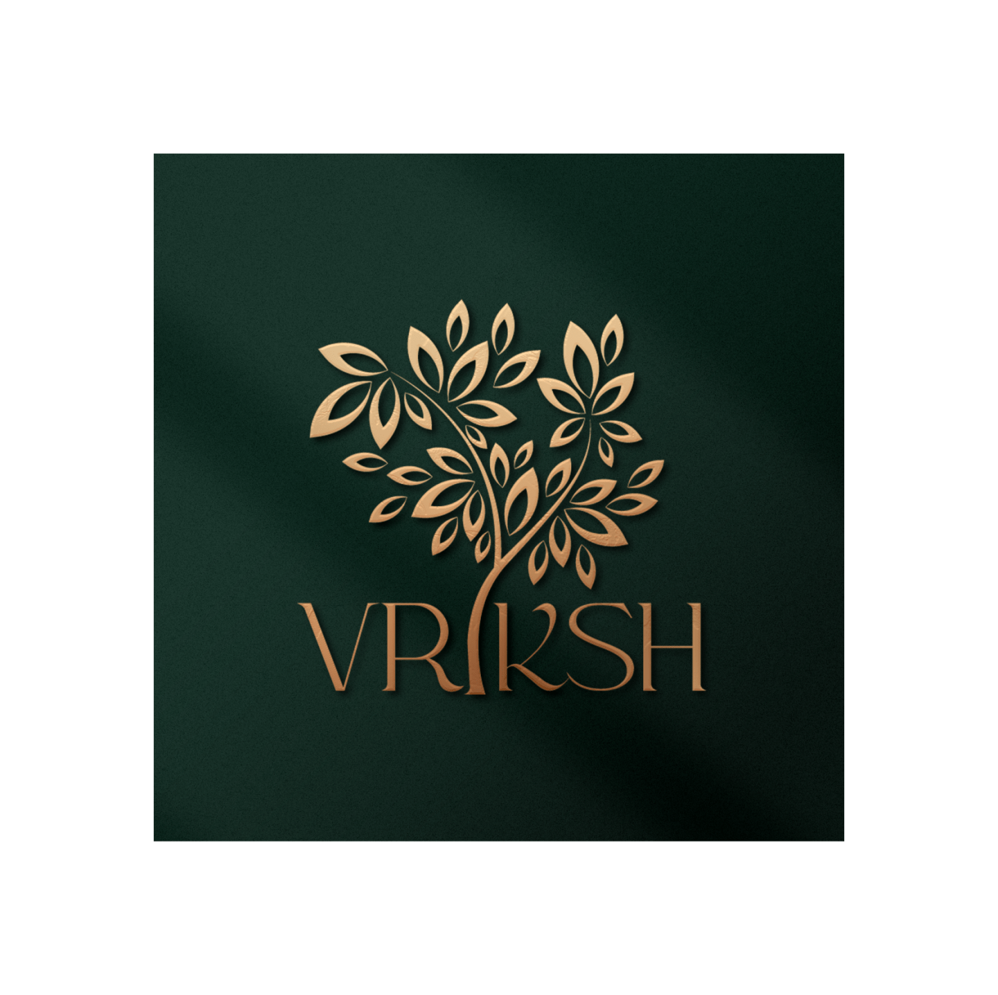Case Study: Logo Transformation for Vriksh – Happy Pari